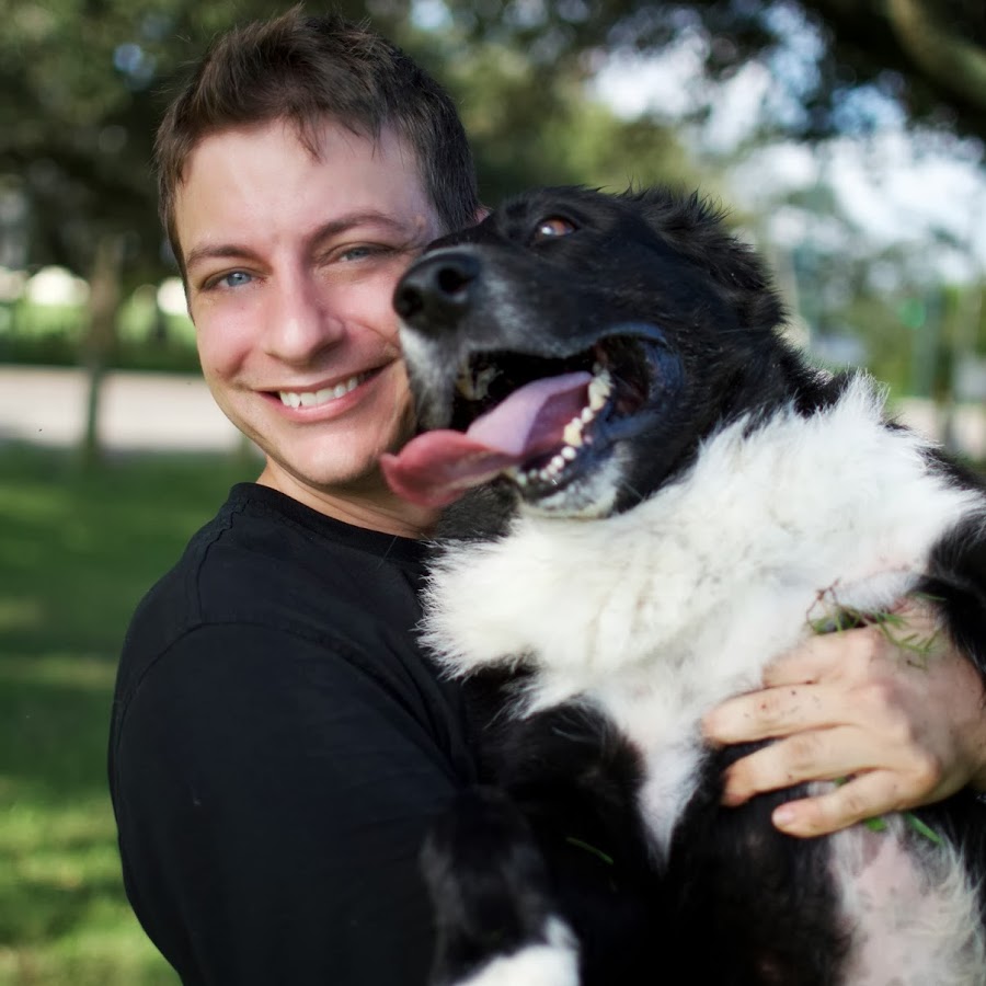 Controlling Your Dog's Environment - The Official Petflow Blog