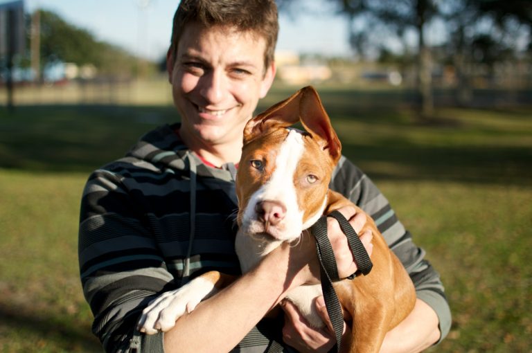 Controlling Your Dog's Environment - The Official PetFlow Blog