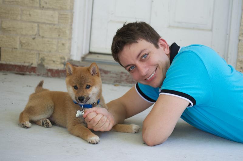 Controlling Your Dog's Environment - The Official Petflow Blog