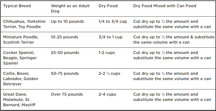Want to Find the Perfect Dog Food for Your Best Friend?