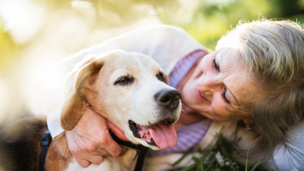 Assessing Your Senior Pet - The Official Petflow Blog